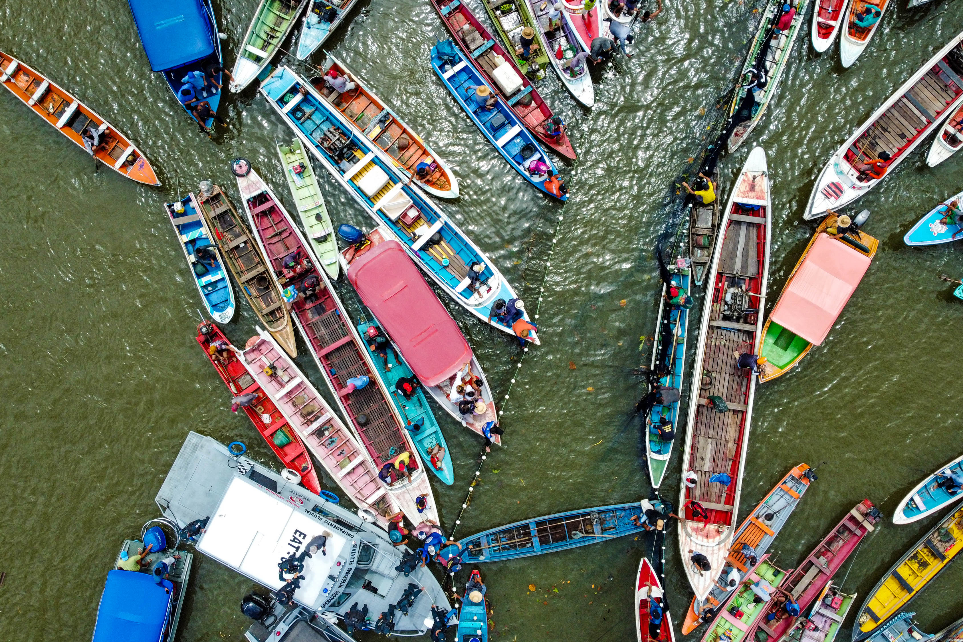 Pesca do Mapará em Cametá | Agência Pará